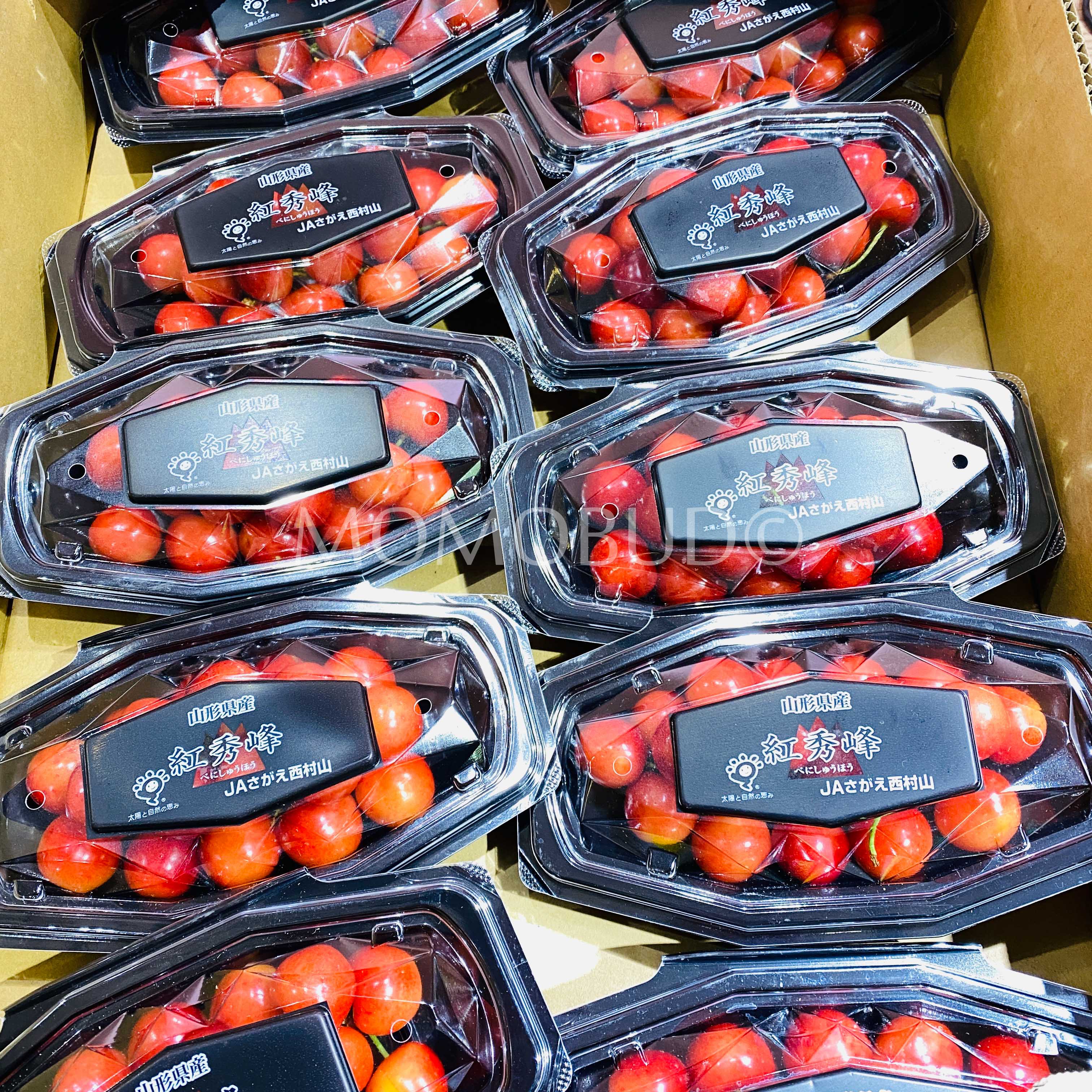 Japanese Beni Shuho Sakuranbo (Cherry, 特秀 100g punnet) — MomoBud