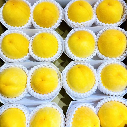 Japanese Yamanashi House Golden Peach (2pcs/punnet) — MomoBud