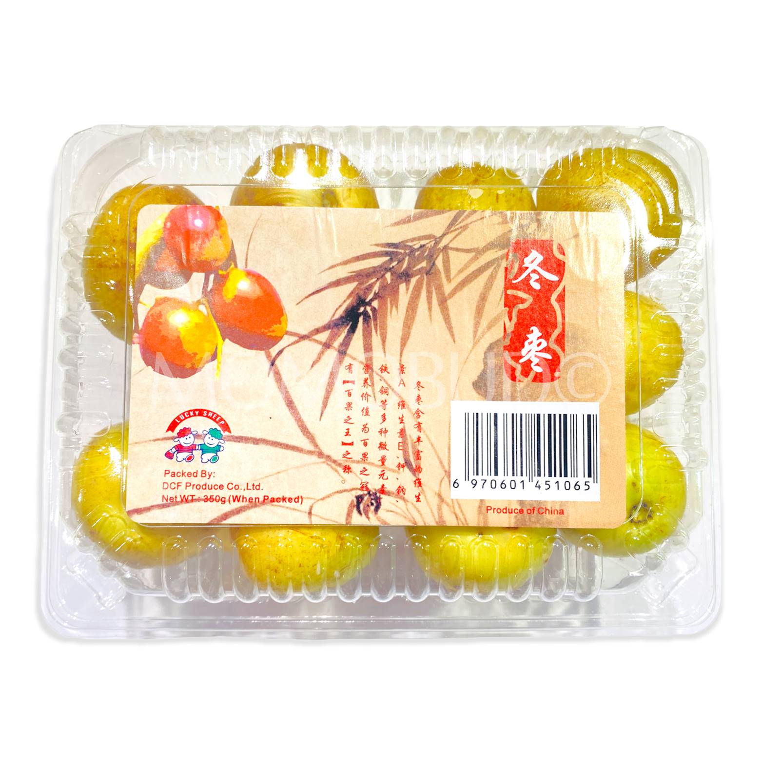 China Fresh Jujube (Dates) — MomoBud