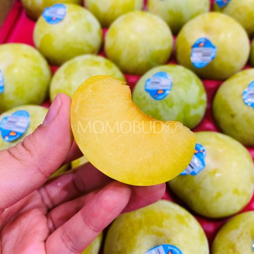 Flavor Queen Pluot (Medium, 4pcs) — MomoBud