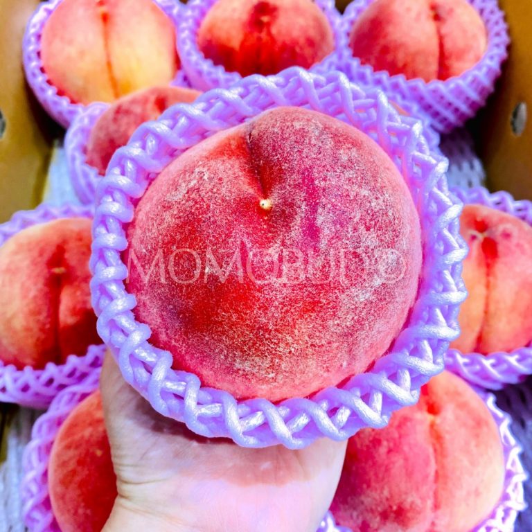 Japanese Tsuki no Usagi Shirone Hakutou White Peach (Hidamari Grade ...