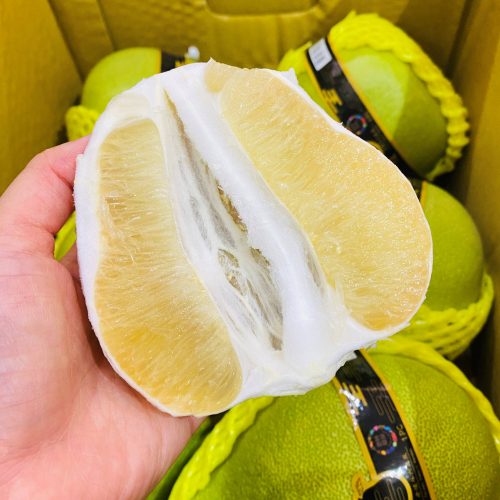 *Mid-Autumn Special* Taiwan Premium Madou Wendan Pomelo Gift Box (3kg ...