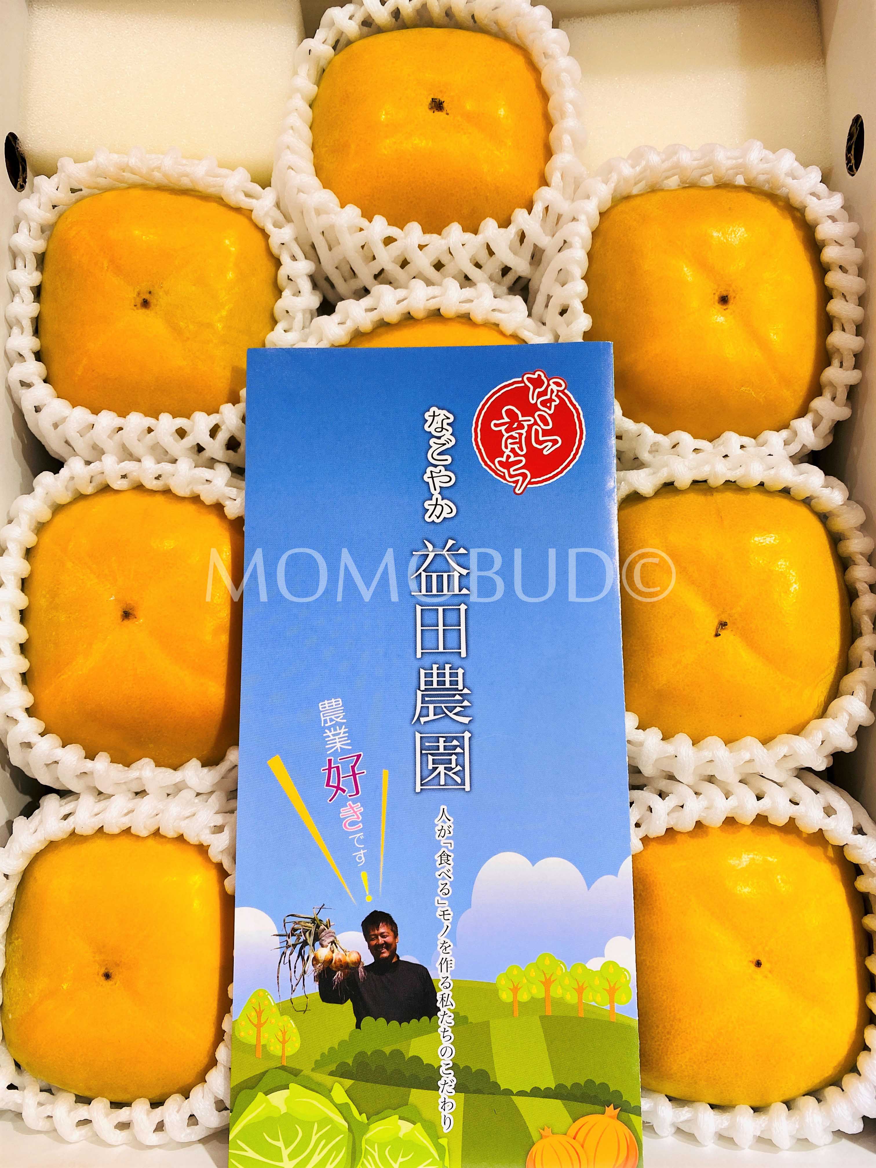 Japanese Nara Tonewase House Persimmon Gift Box (2kg) — MomoBud