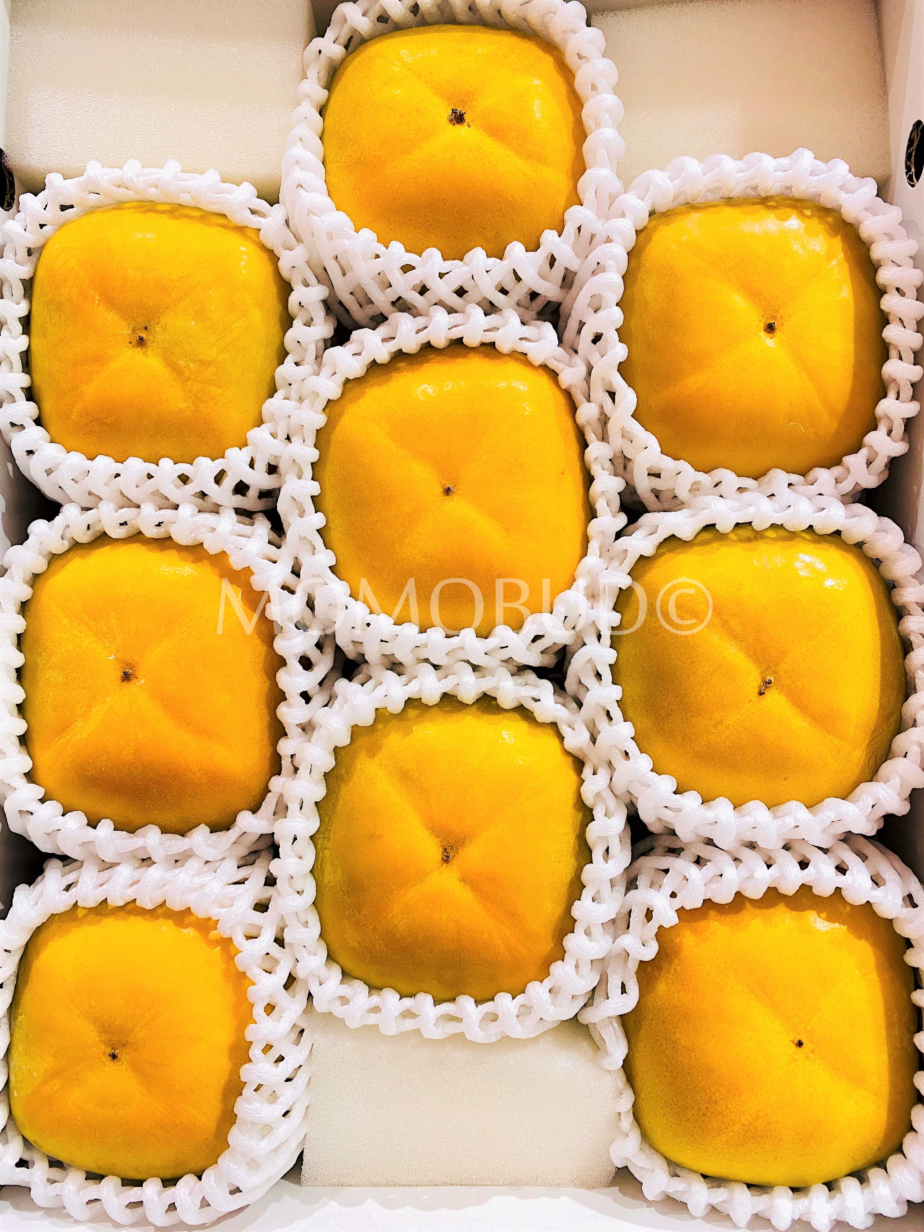 Japanese Nara Tonewase House Persimmon Gift Box (2kg) — MomoBud
