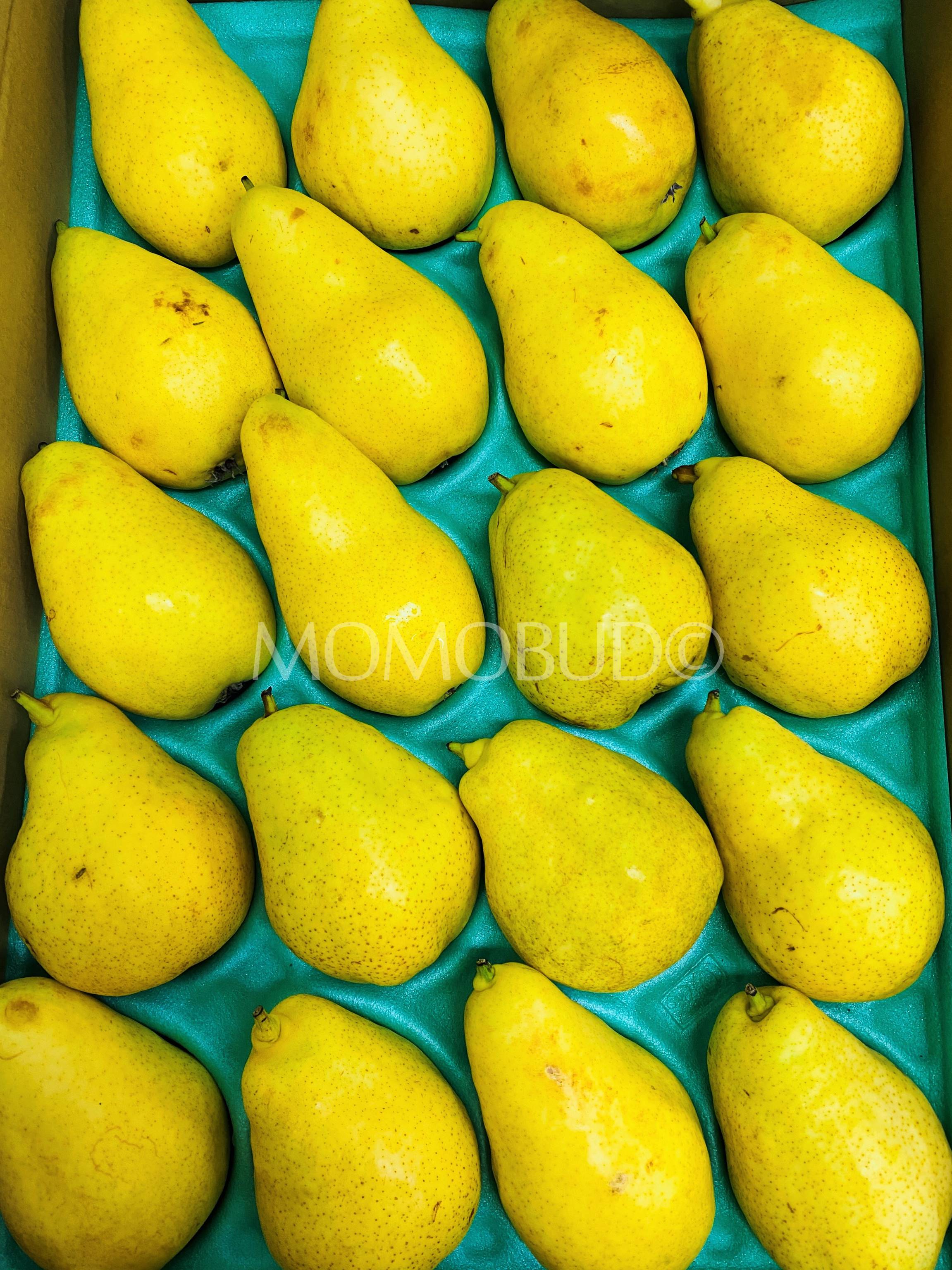 MomoBud's Online Fruit Market