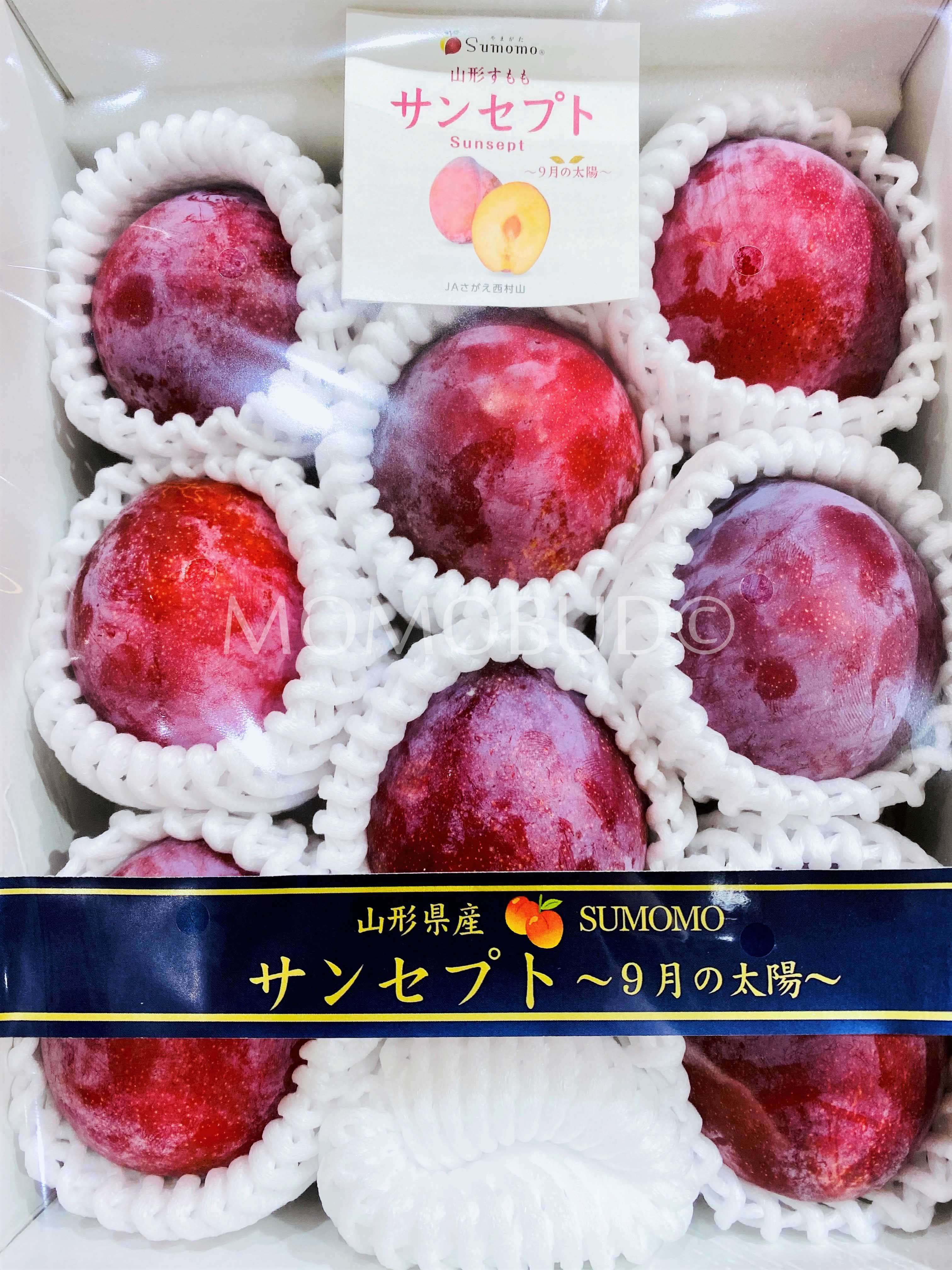 Japanese Sumomo Sunsept Plum Gift Box (1.5kg) — MomoBud