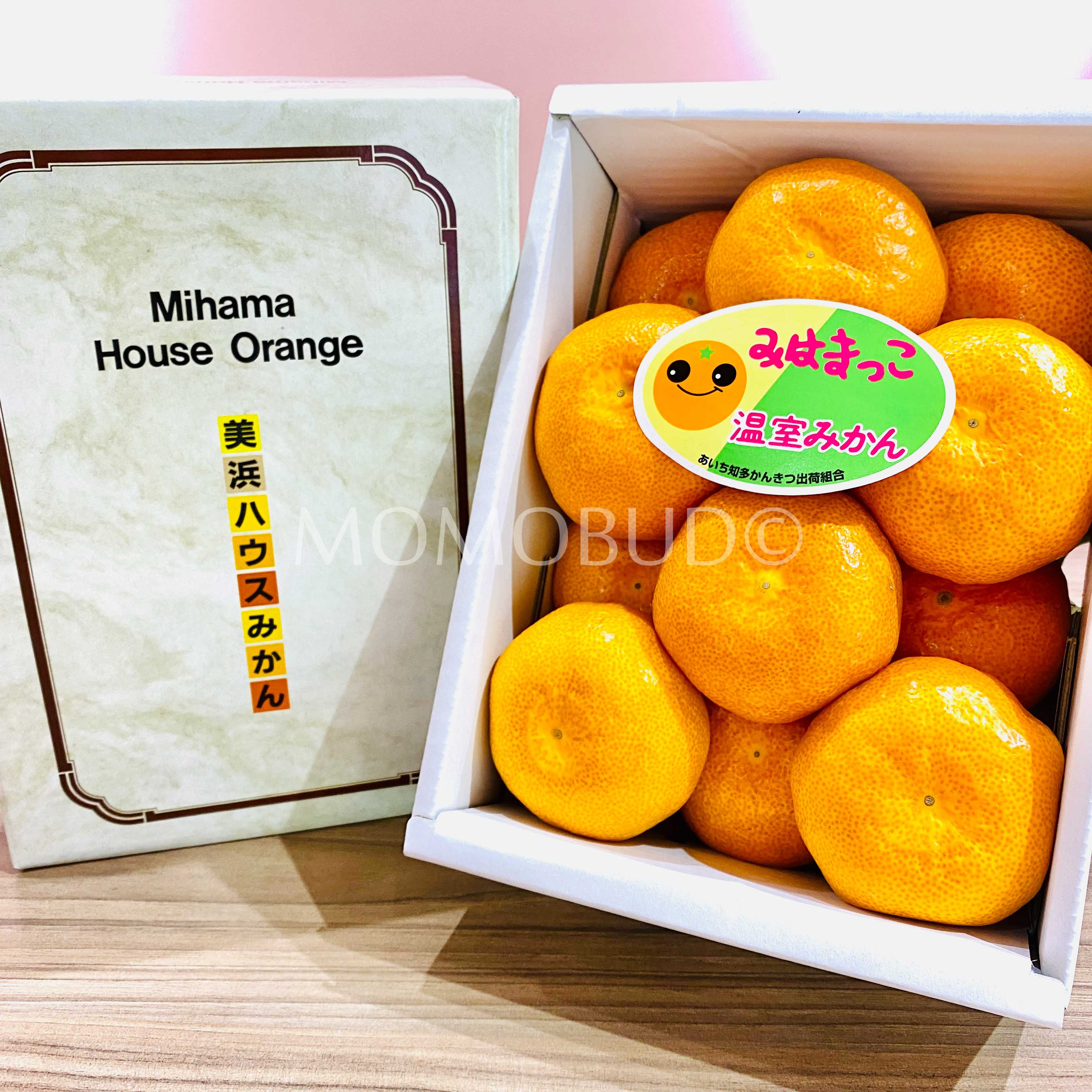 Japanese Karatsu Onshitsu Mikan | MomoBud