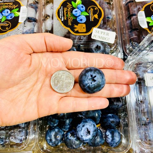 Jumbo African Blue Blueberry (125g) — MomoBud