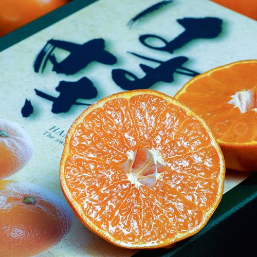 Japanese Hamasaki Mikan (Mandarin Orange) Gift Box (2.5kg) — MomoBud