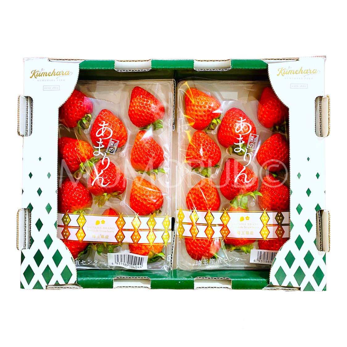 *High Sweetness* Japanese Saitama Amarin Ichigo (Strawberry) — MomoBud