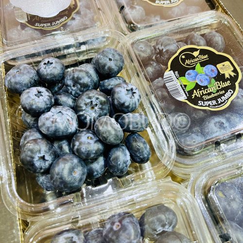 Super Jumbo African Blue Blueberry — MomoBud