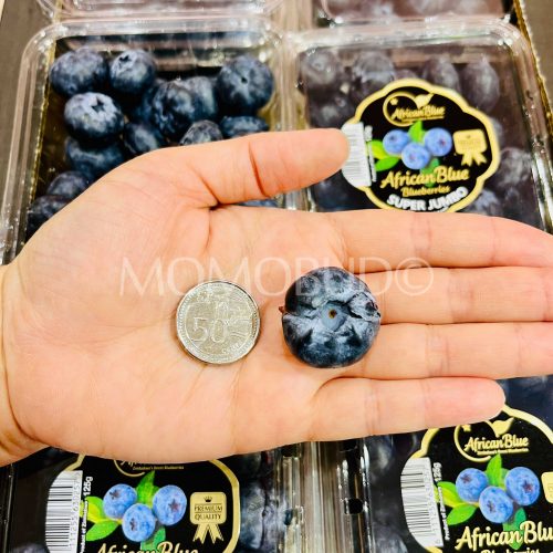 Super Jumbo African Blue Blueberry — MomoBud