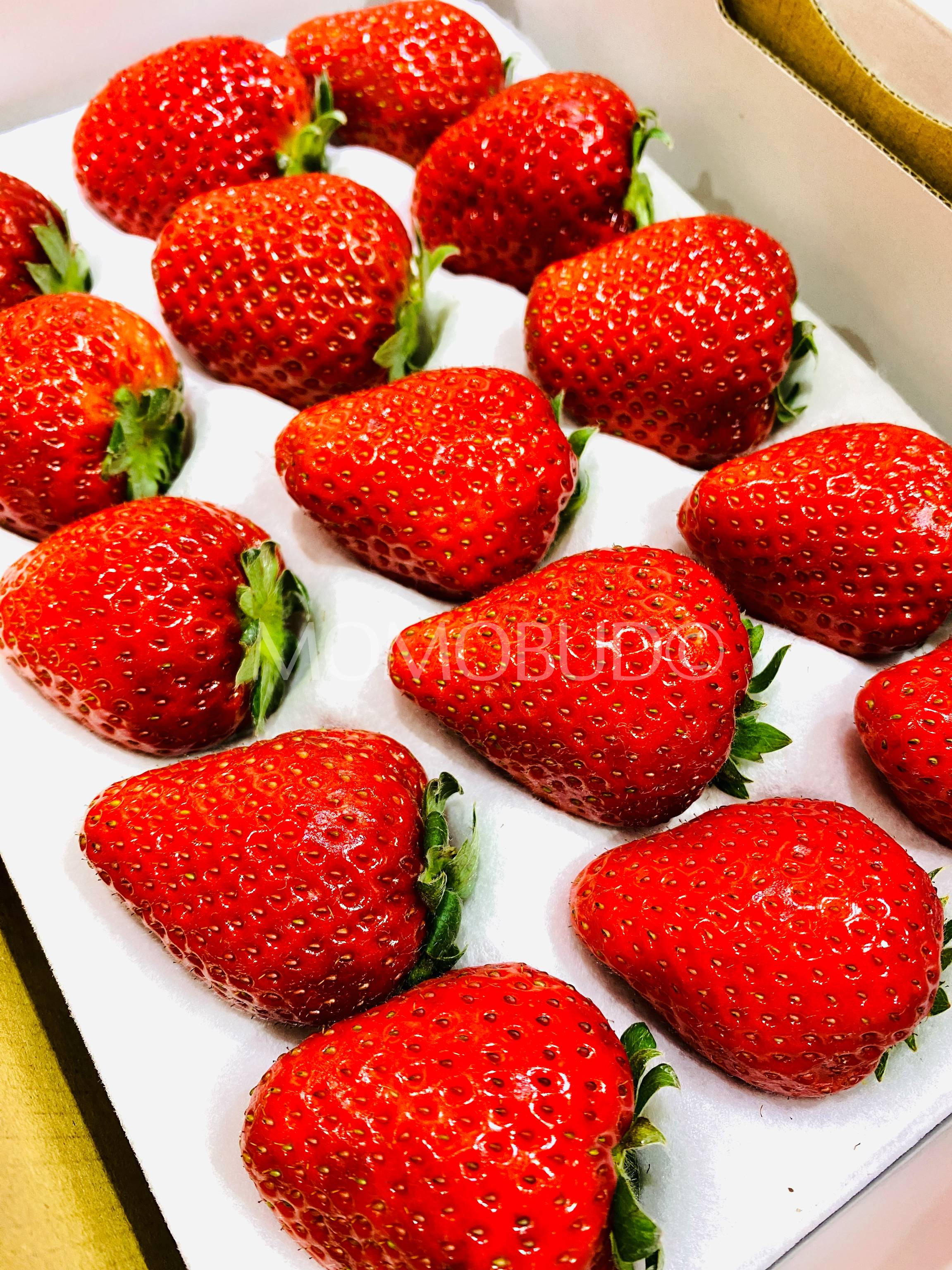 Japanese Sachinoka Ichigo (Strawberry) Gift Box (400g) — MomoBud