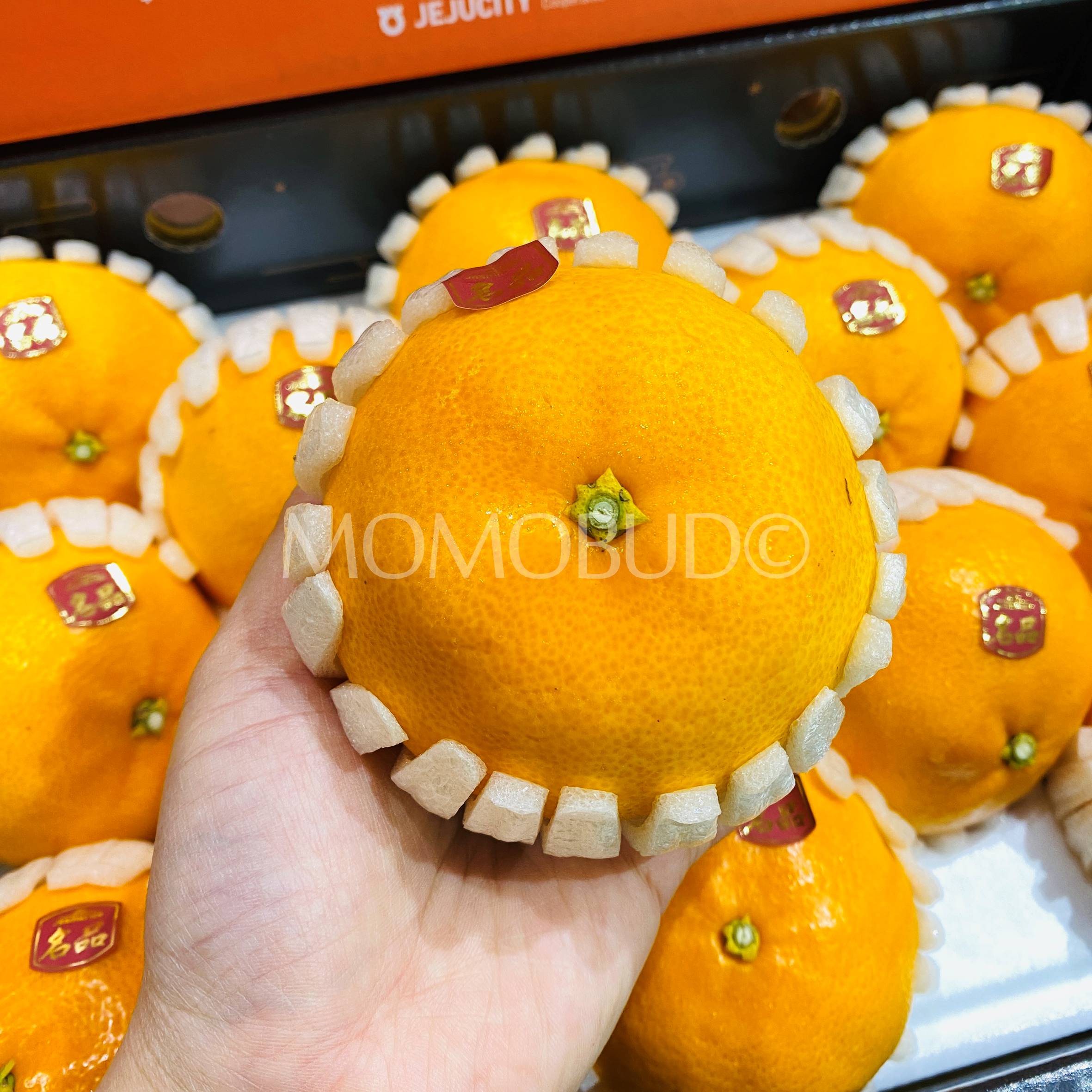 Jeju Cheonhyehyang Heaven Scent Orange Gift Box (3kg) — MomoBud