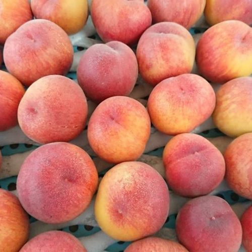 Japanese Himekonatsu Yellow Peach (2pcs punnet) — MomoBud