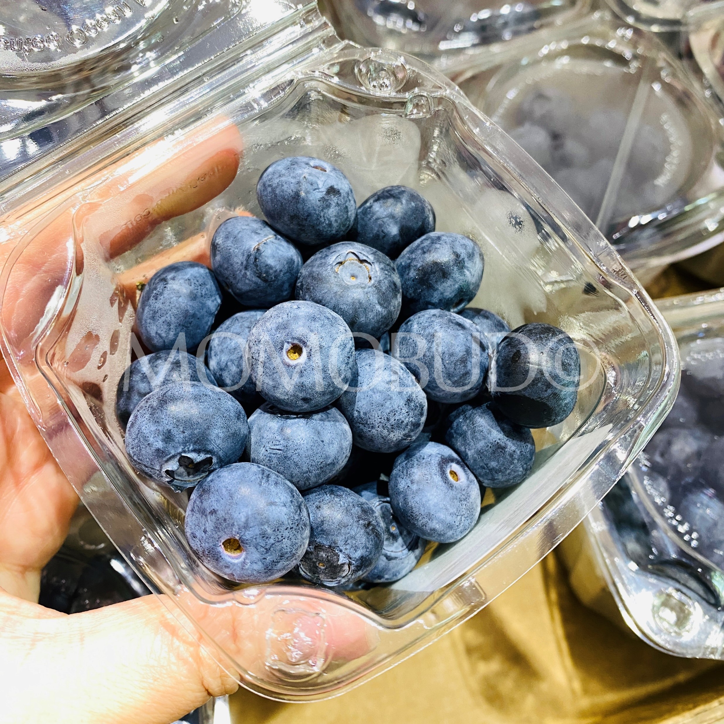 Royal® Selection Jumbo Blueberry (170g punnet) — MomoBud
