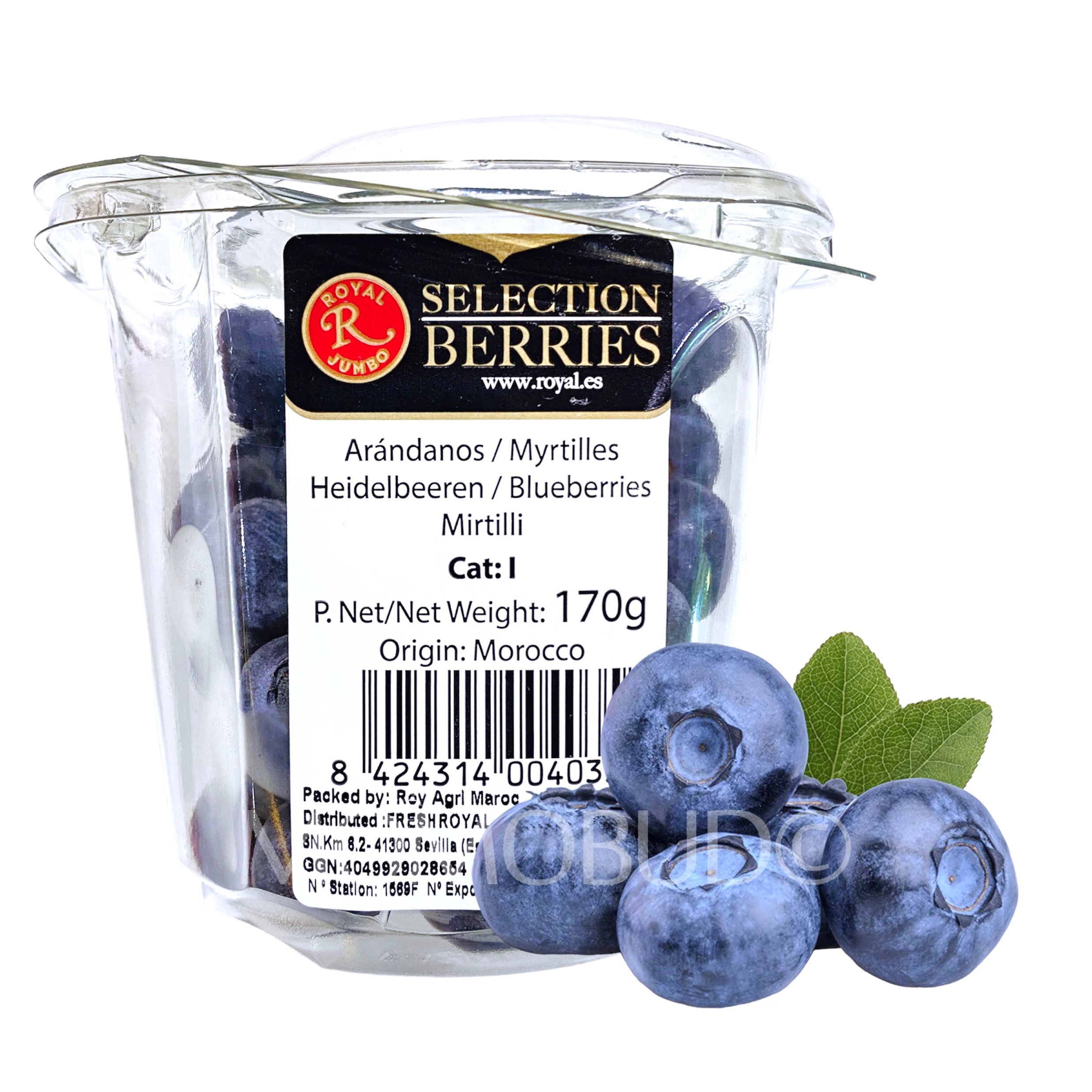 Royal® Selection Jumbo Blueberry (170g punnet) — MomoBud