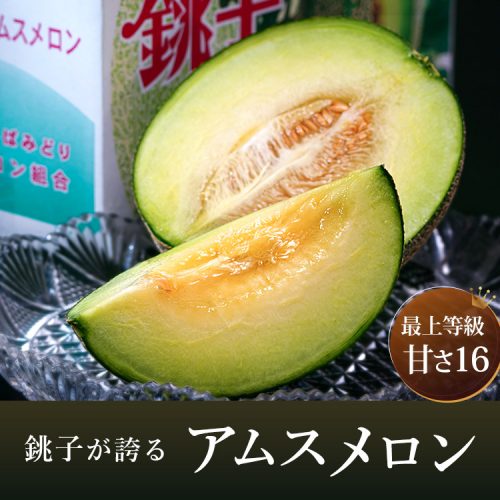 Japanese Choshi Amusu Melon (Large, 16 brix High Sweetness) — MomoBud
