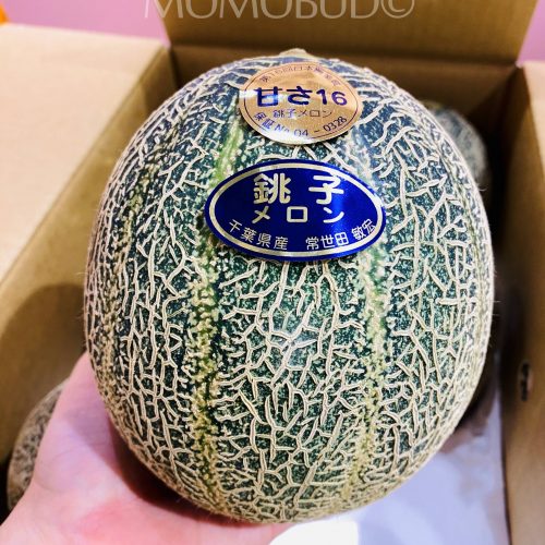 Japanese Choshi Amusu Melon (Large, 16 brix High Sweetness) — MomoBud