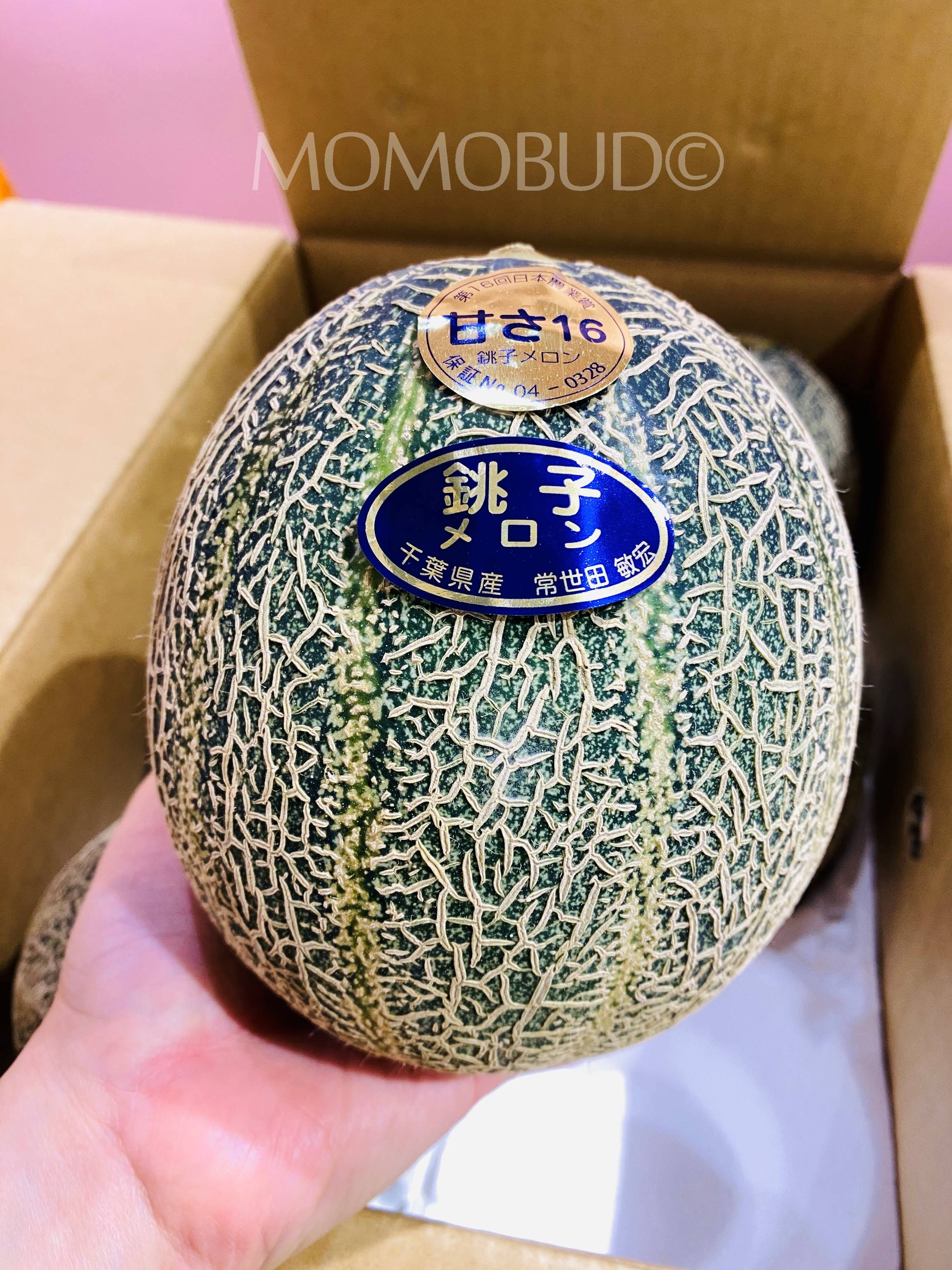 Japanese Choshi Amusu Melon (Large, 16 brix High Sweetness) — MomoBud