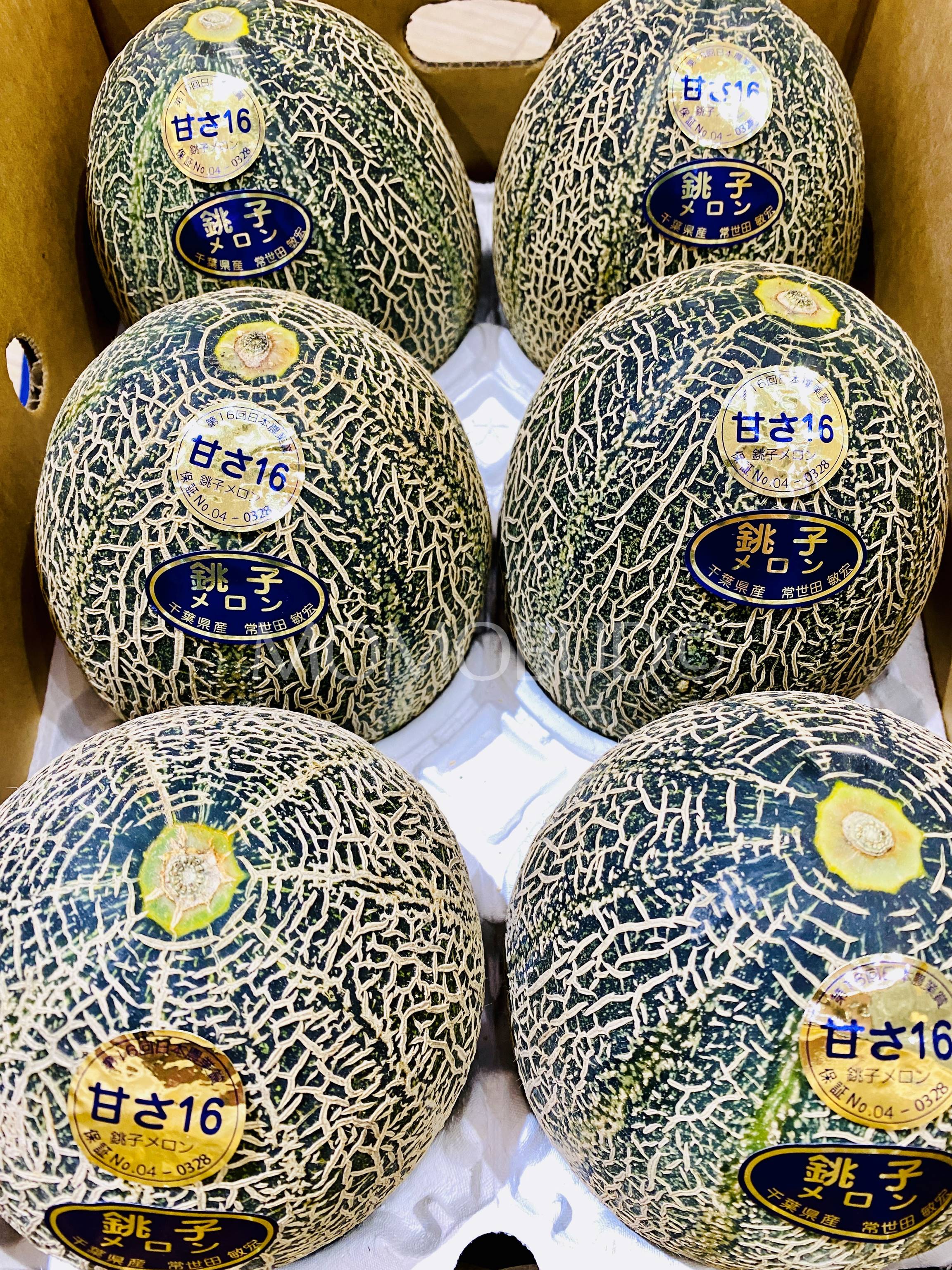 Japanese Choshi Amusu Melon (Large, 16 brix High Sweetness) — MomoBud
