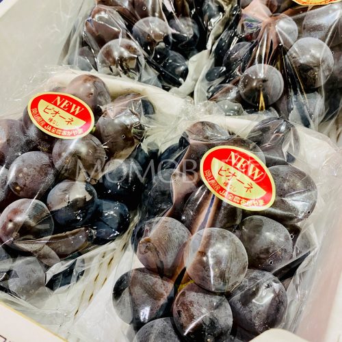 Japanese Okayama New Pione Seedless Grapes — MomoBud