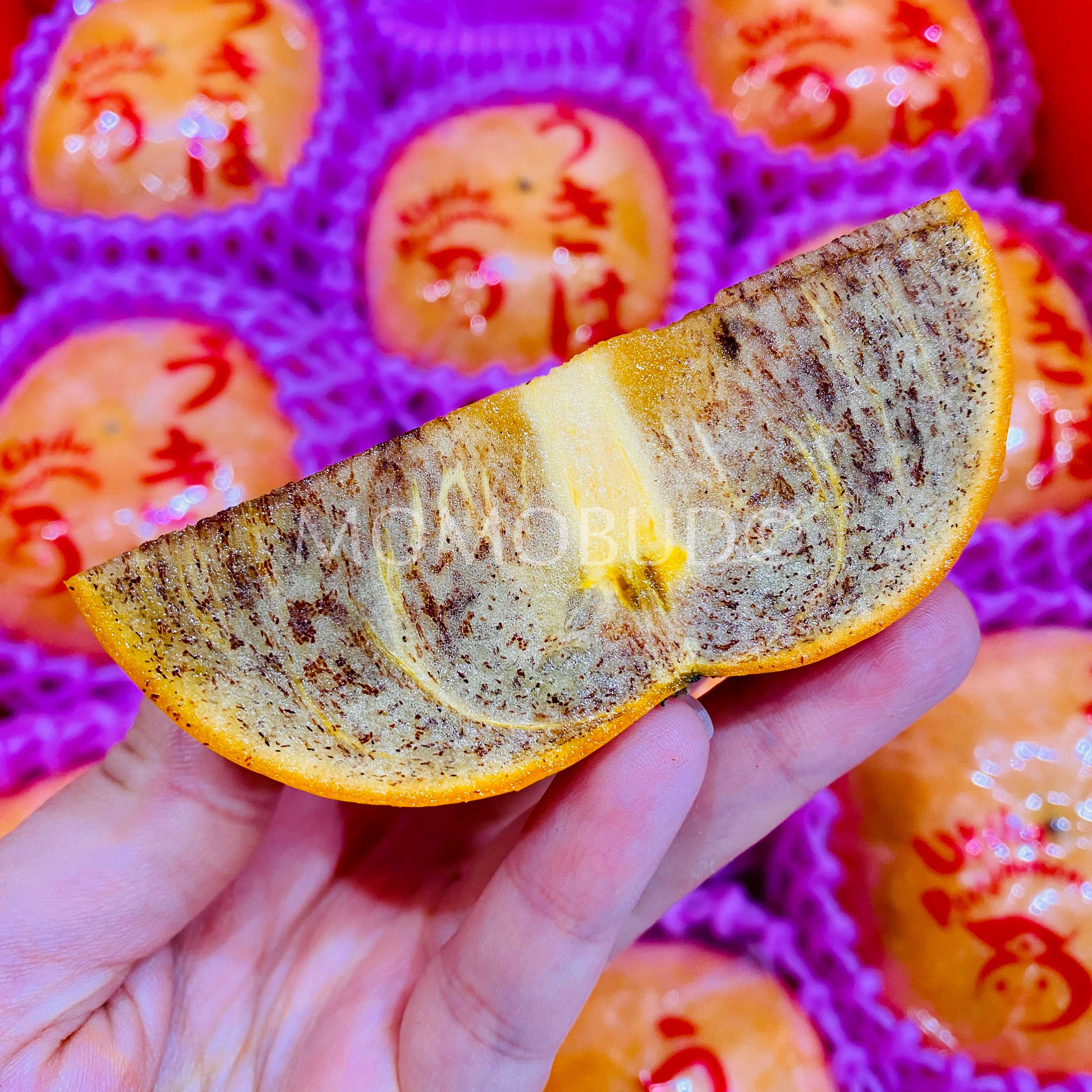 Japanese Ukiha Chocolate (Black Sesame) Persimmon Gift Box (2.5kg ...