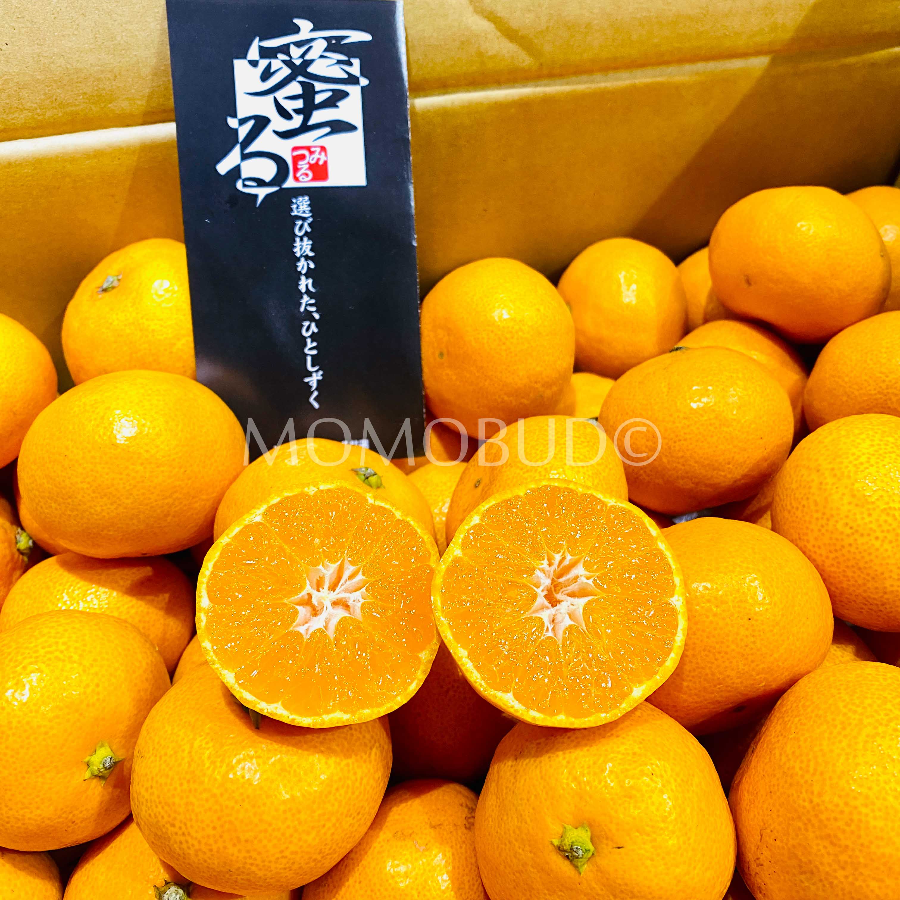 Japanese High Sweetness Mitsuru Mikan (Mandarin Orange) — MomoBud