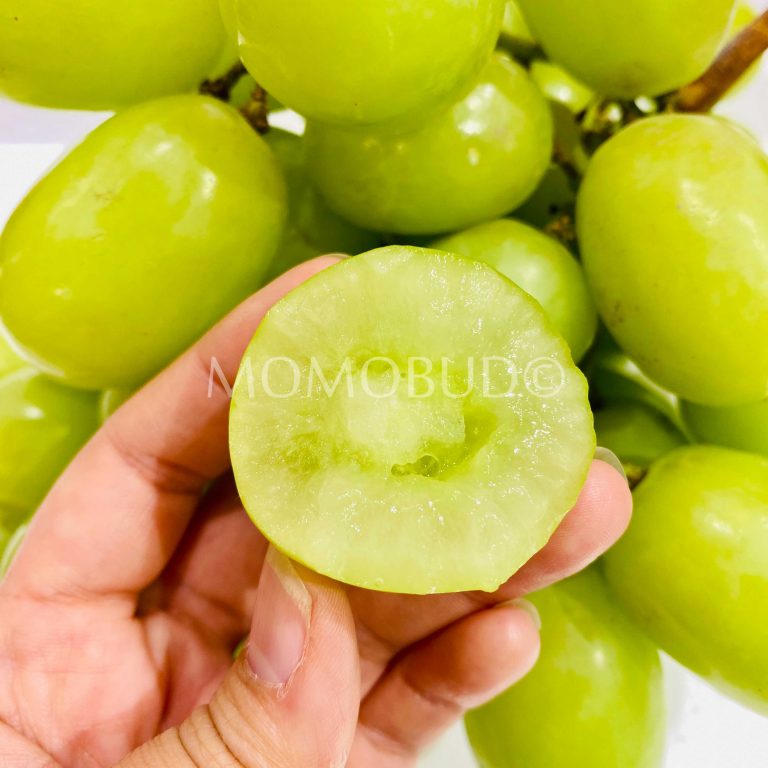 Jumbo Autumn Crisp® Green Seedless Grapes — MomoBud