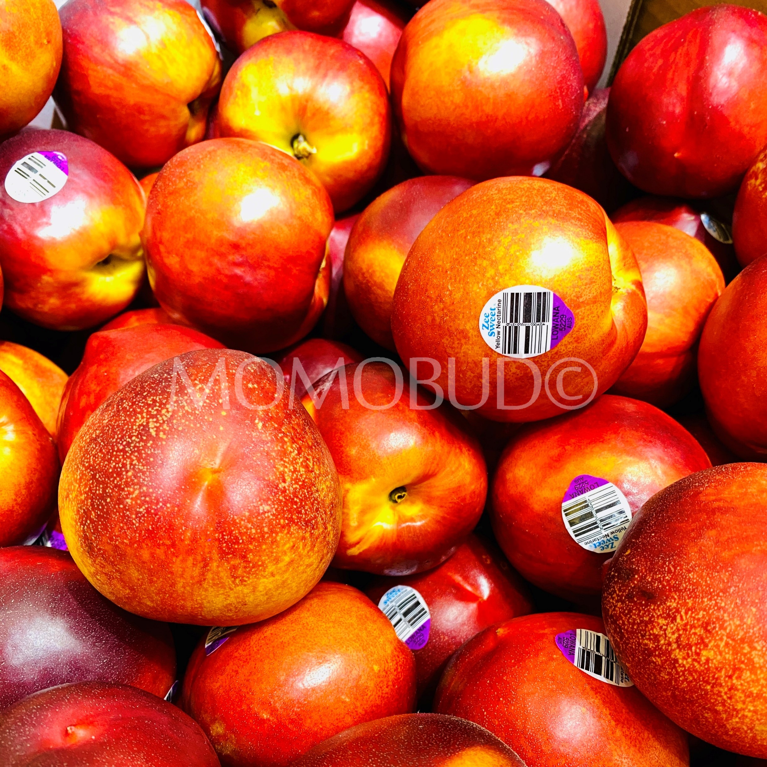 Lowana Zee Sweet© Honey Lite Yellow Nectarine (1kg approx, 7pcs) — MomoBud