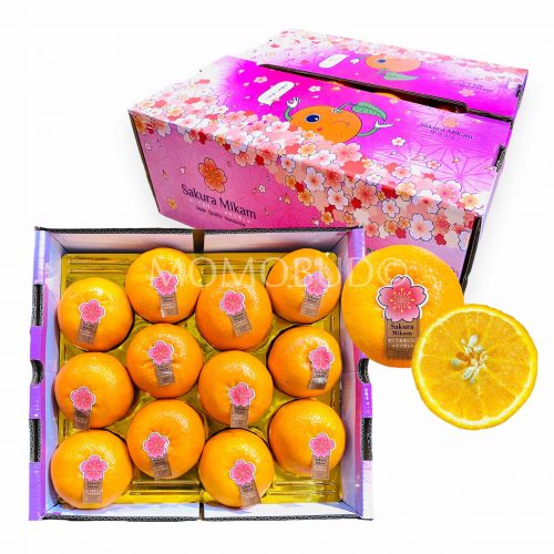 Sakura Mikan (Mandarin Orange) — MomoBud