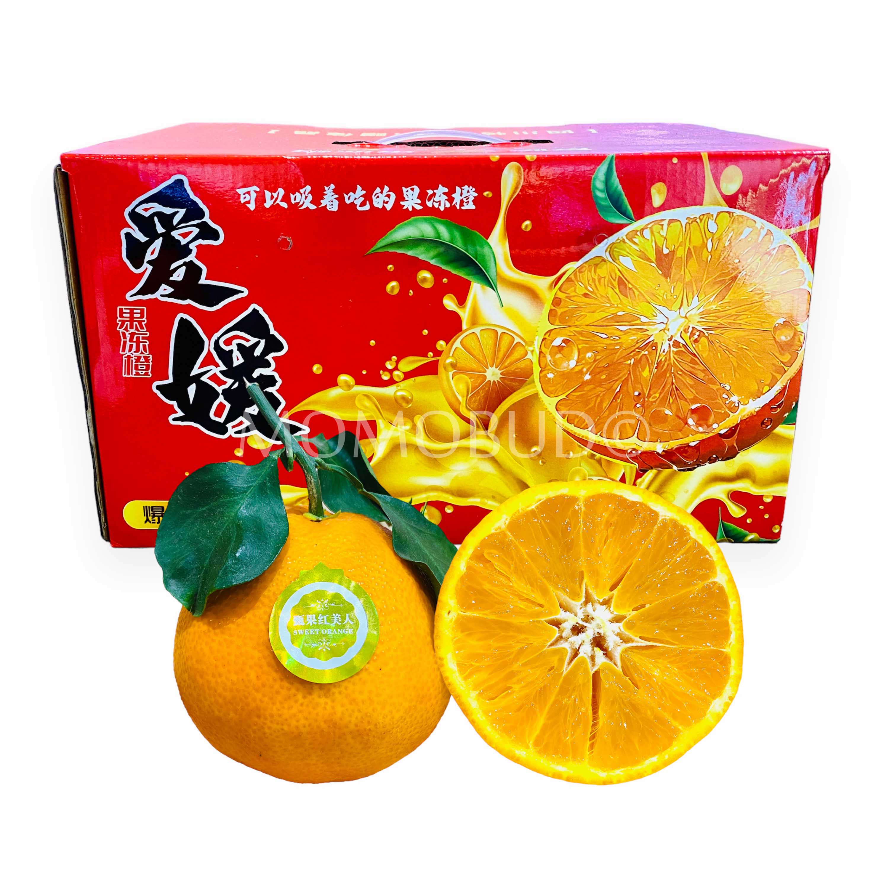Ehime Red Beauty (Hong Mei Ren) Orange Gift Box (2kg) — MomoBud