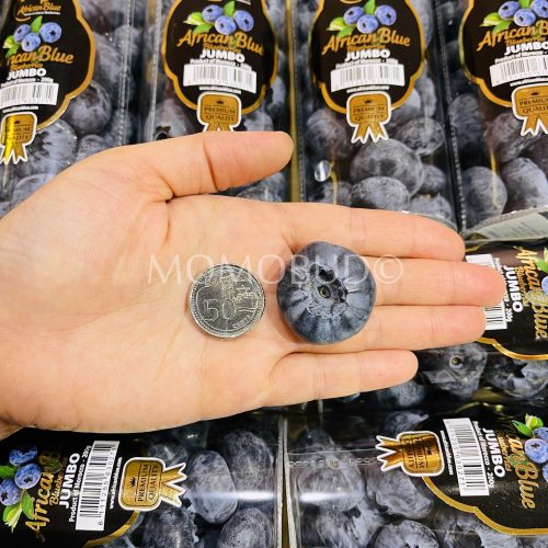 Jumbo African Blue Blueberry (200g) — MomoBud