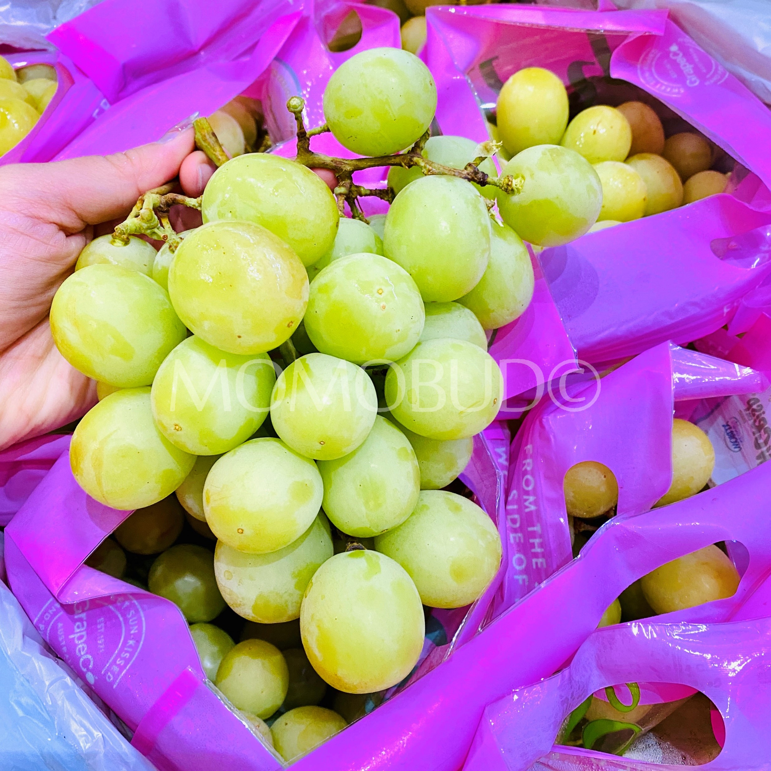 Hellooo™ Autumn Crisp® Green Seedless Grapes (1kg) — MomoBud