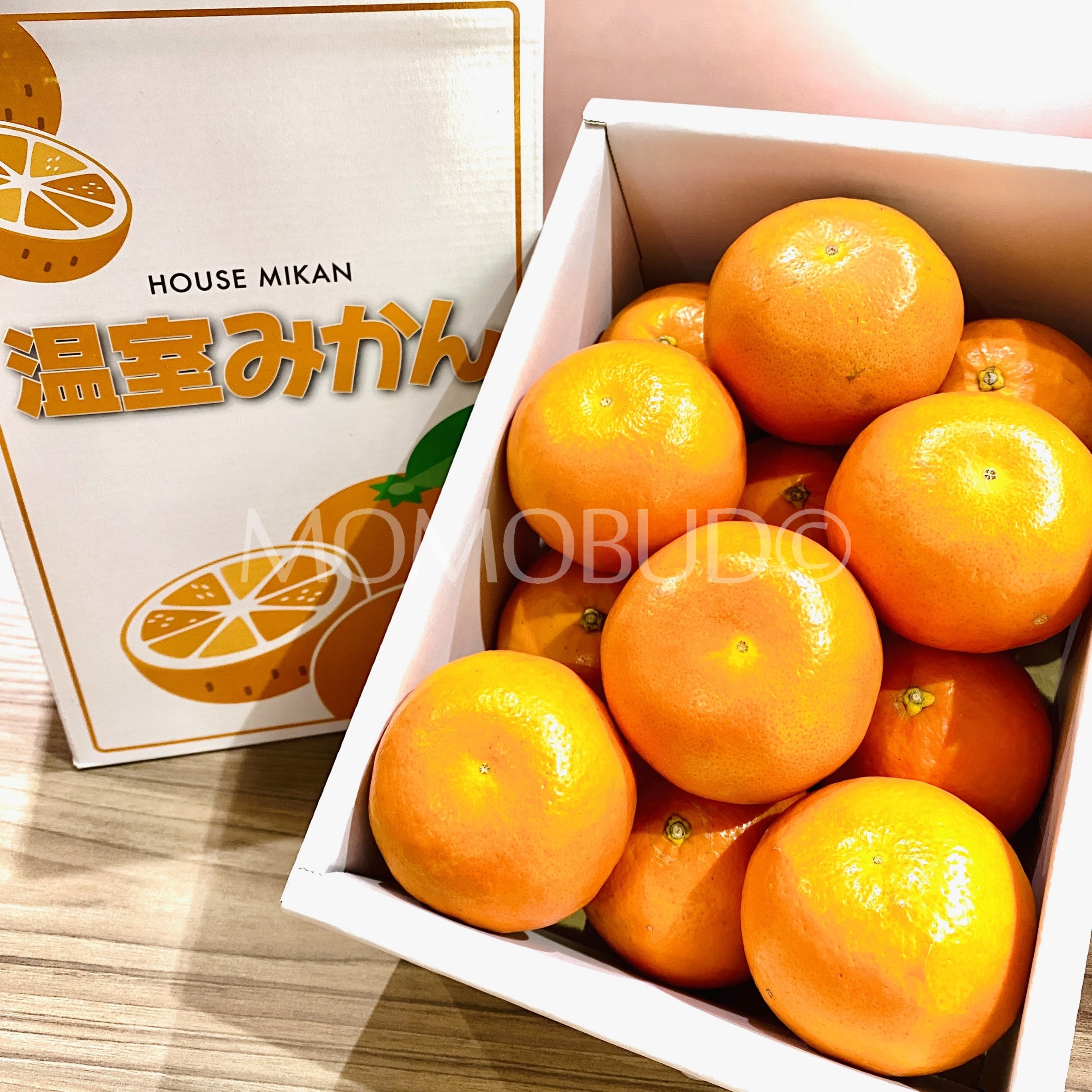 Japanese Karatsu Onshitsu Mikan | MomoBud