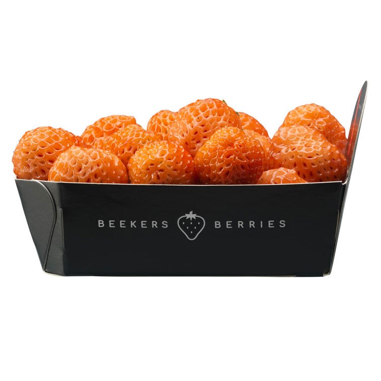 Beekers Specialties Pinkberry Strawberry (120g punnet) — MomoBud