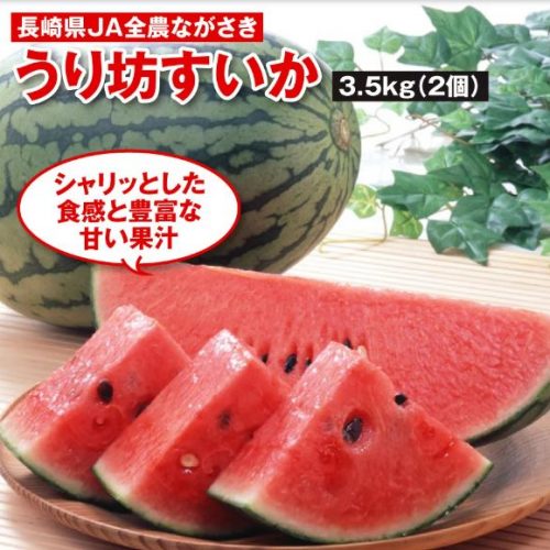 Japanese Uribo Watermelon — MomoBud