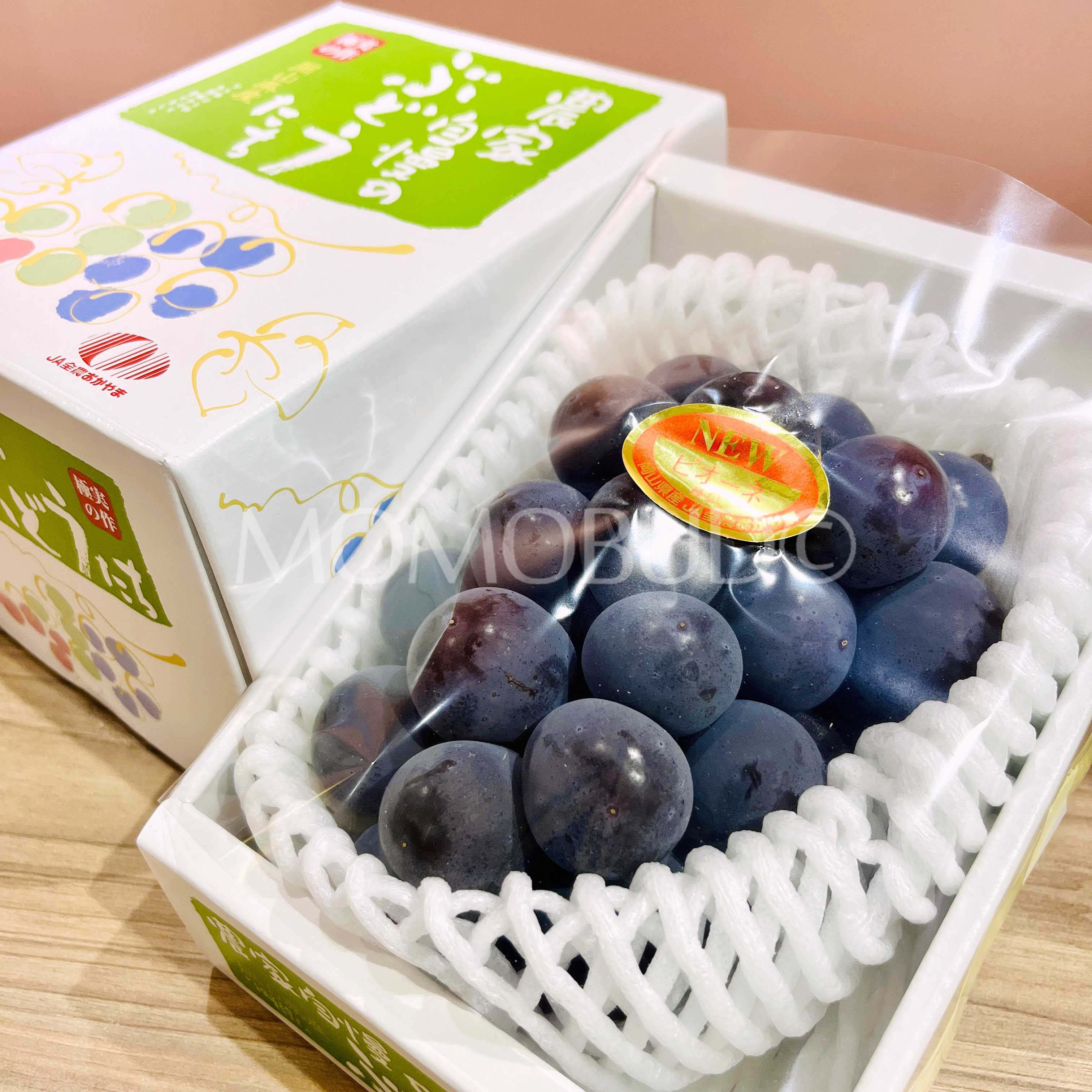 Japanese Okayama New Pione Seedless Grapes Gift Box (700g) — MomoBud