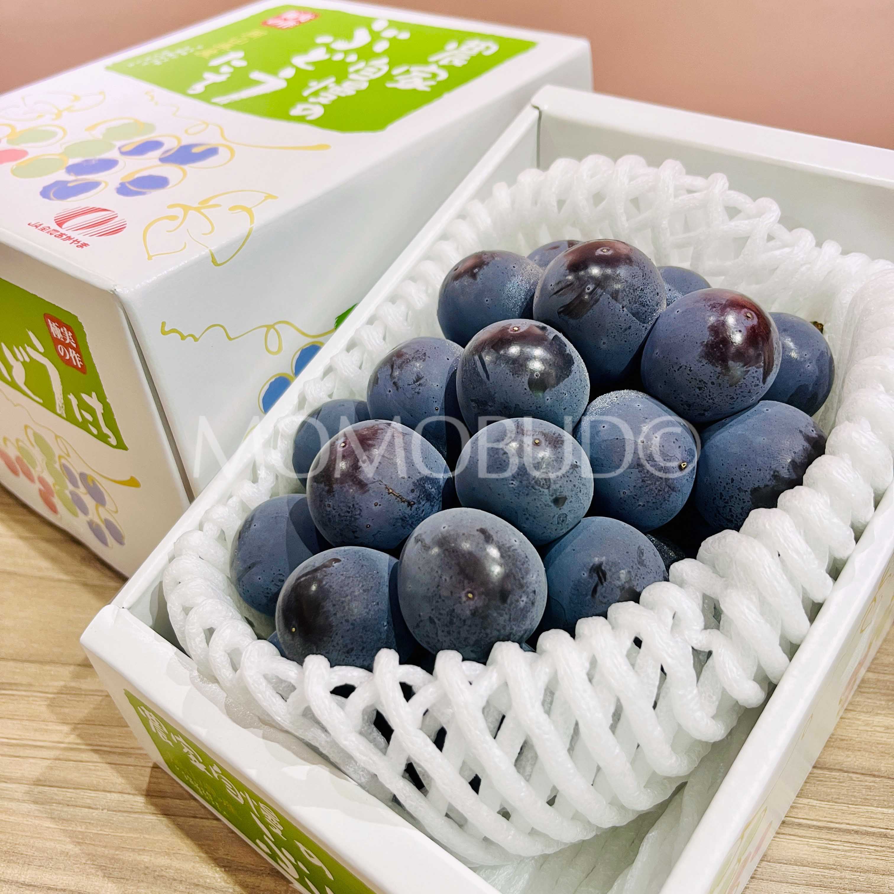 Japanese Okayama New Pione Seedless Grapes Gift Box (700g) — MomoBud