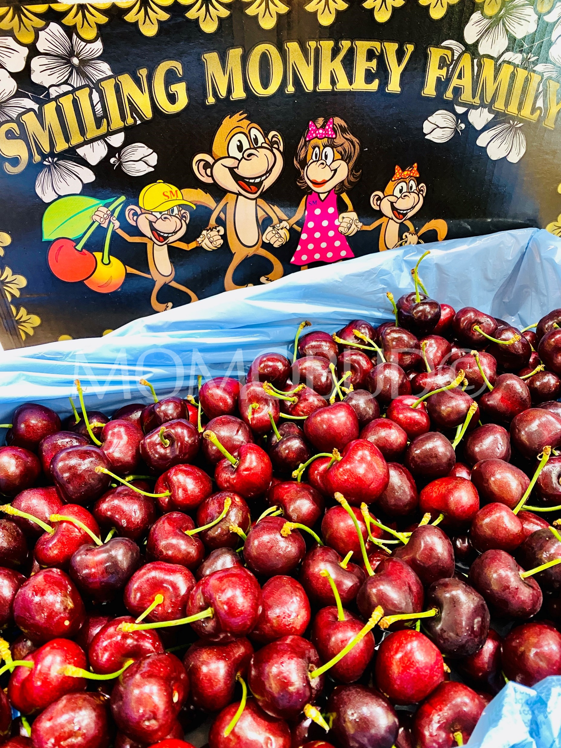 Washington Tieton™ Red Cherry — MomoBud