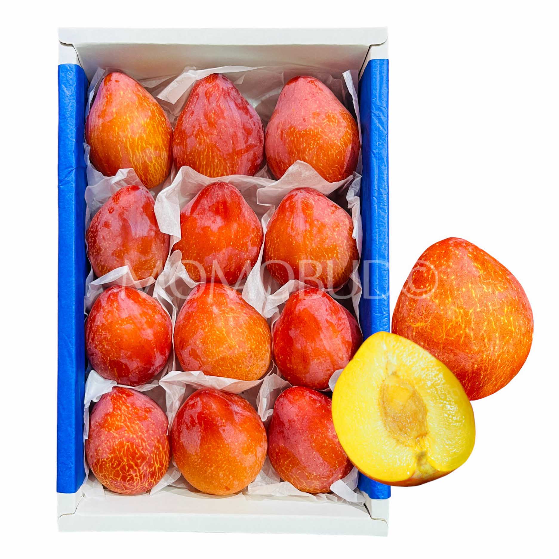Japanese Yamanashi Gekkou Plum Gift Box (1.5kg) — MomoBud