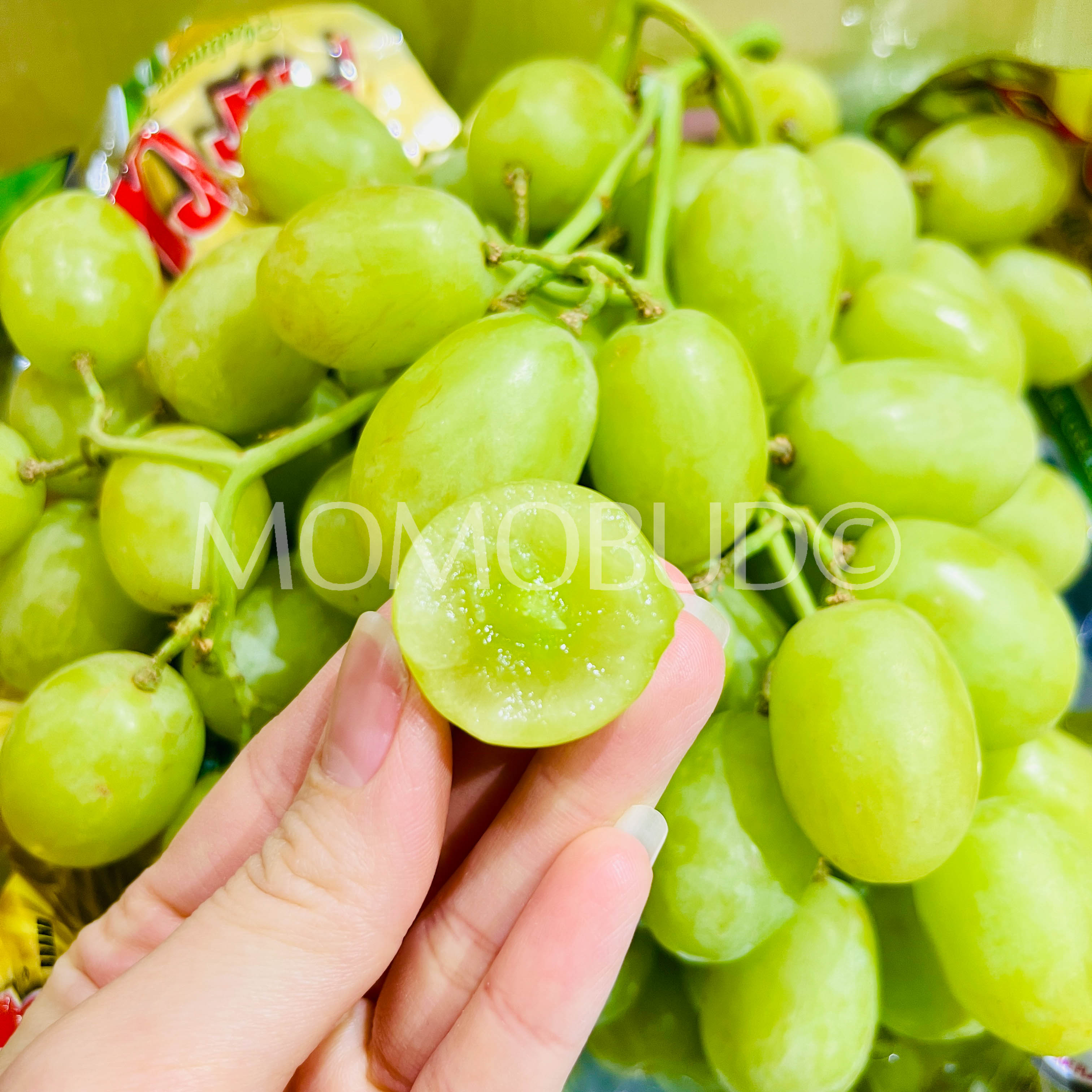 Applause™ Sugarfiftyfour Green Seedless Grapes (1kg) — MomoBud
