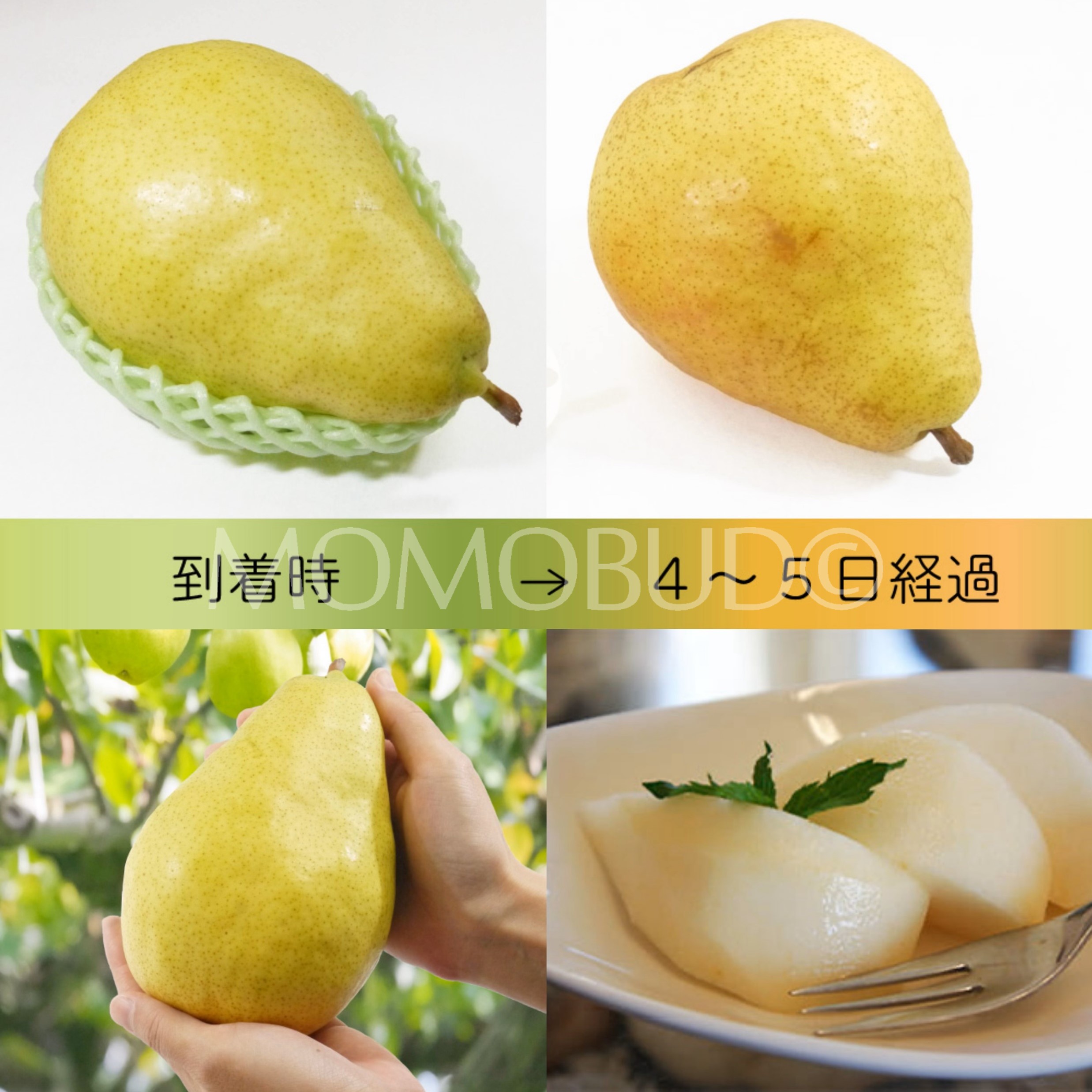 MomoBud's Online Fruit Market