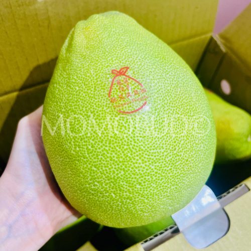 *Mid-Autumn Special* Taiwan Premium Madou Wendan Pomelo Gift Box (3kg ...