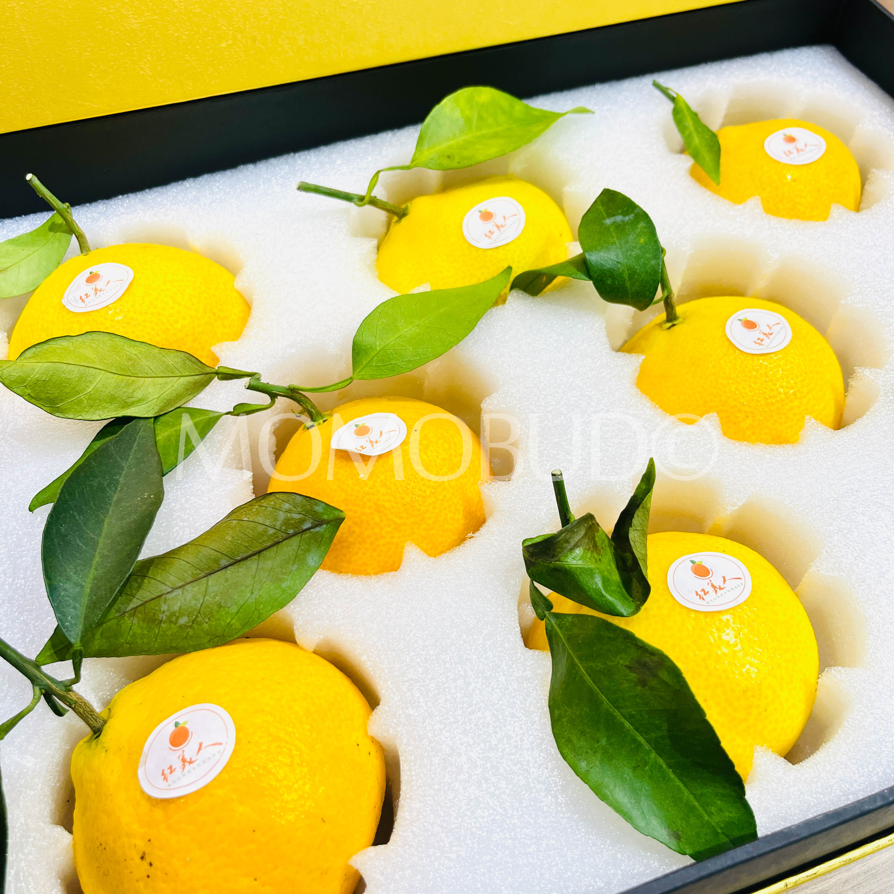 Premium Gold Red Beauty (Hong Mei Ren) Orange — MomoBud