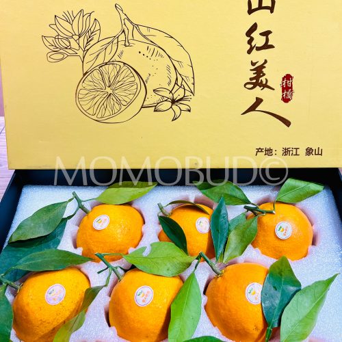 Premium Gold Xiangshan Red Beauty (Hong Mei Ren) Orange Gift Box (2 ...