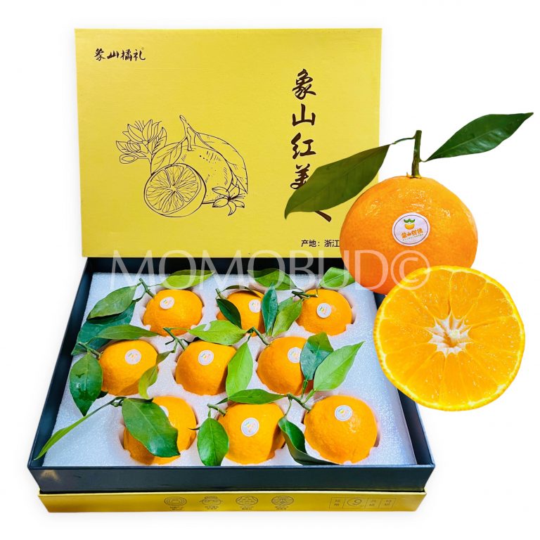 Premium Gold Xiangshan Red Beauty (Hong Mei Ren) Orange Gift Box (2 ...