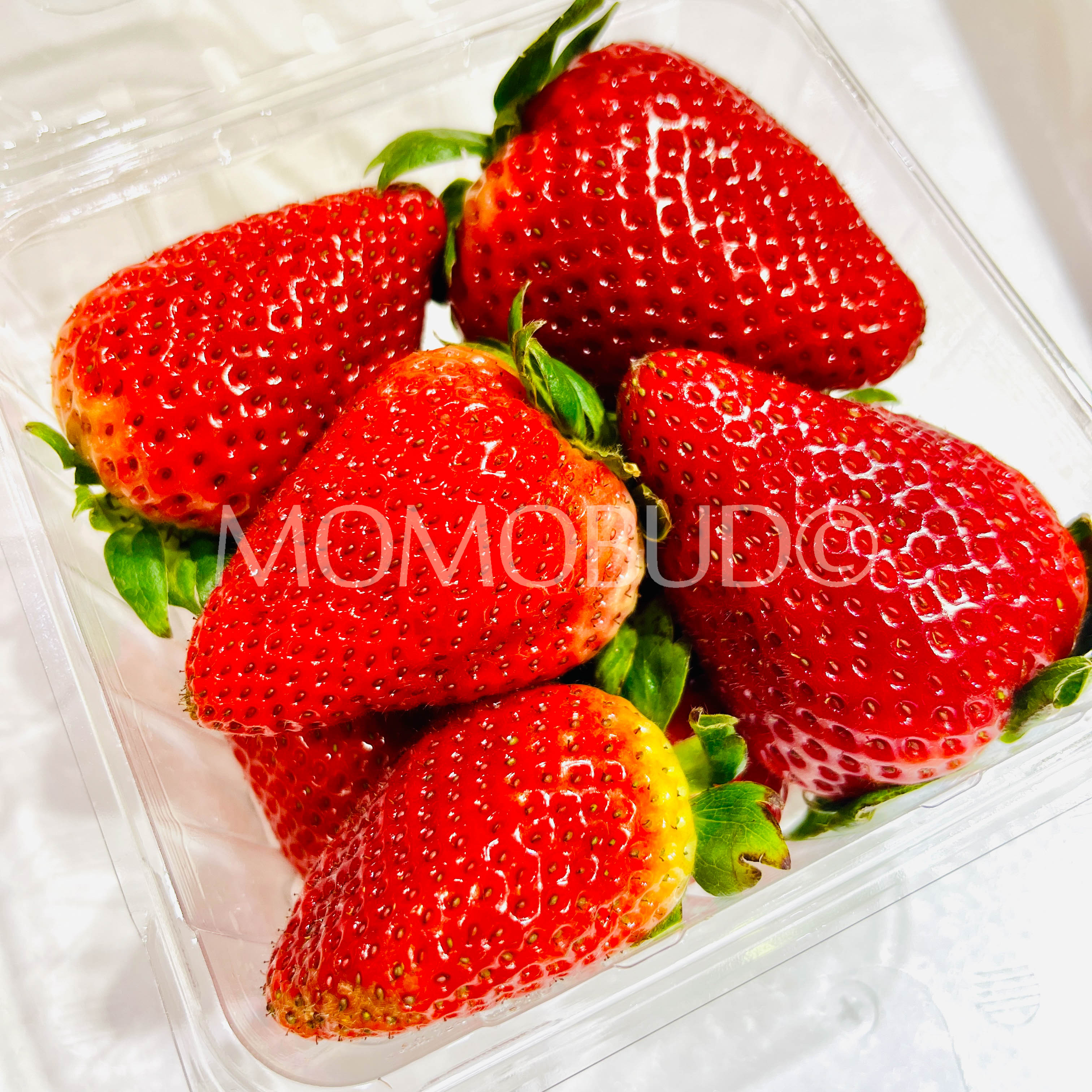 USA Sweet Darling® Strawberry (250g punnet) — MomoBud