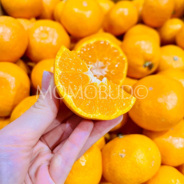 Japanese Tamura Mikan (Mandarin Orange) — MomoBud