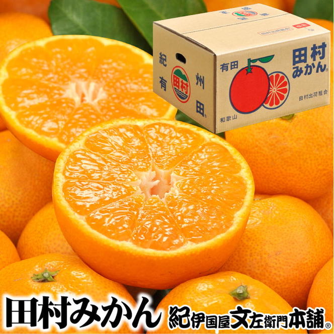 Japanese Tamura Mikan (Mandarin Orange) — MomoBud